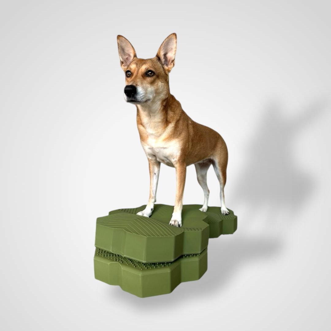 vetdogfit - VETPAD. ORIGINAL - Balance Pad für Hunde